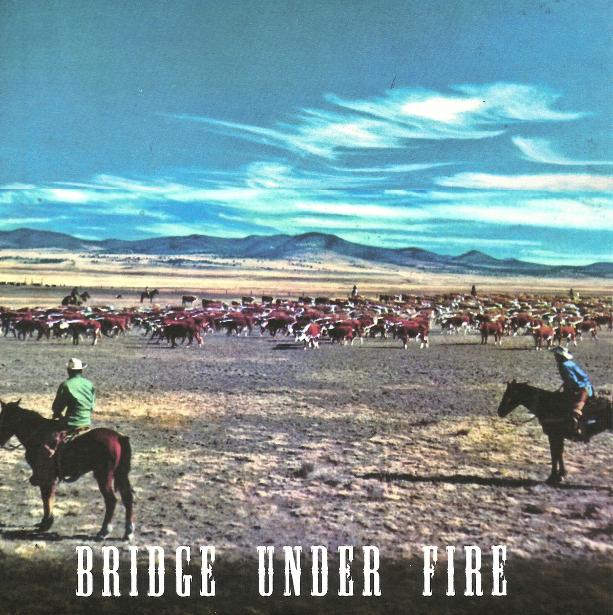 BRIDGE UNDER FIRE / THE SLAUGHTERHOUSE CHORUS "SPLIT" – Fuzz Records